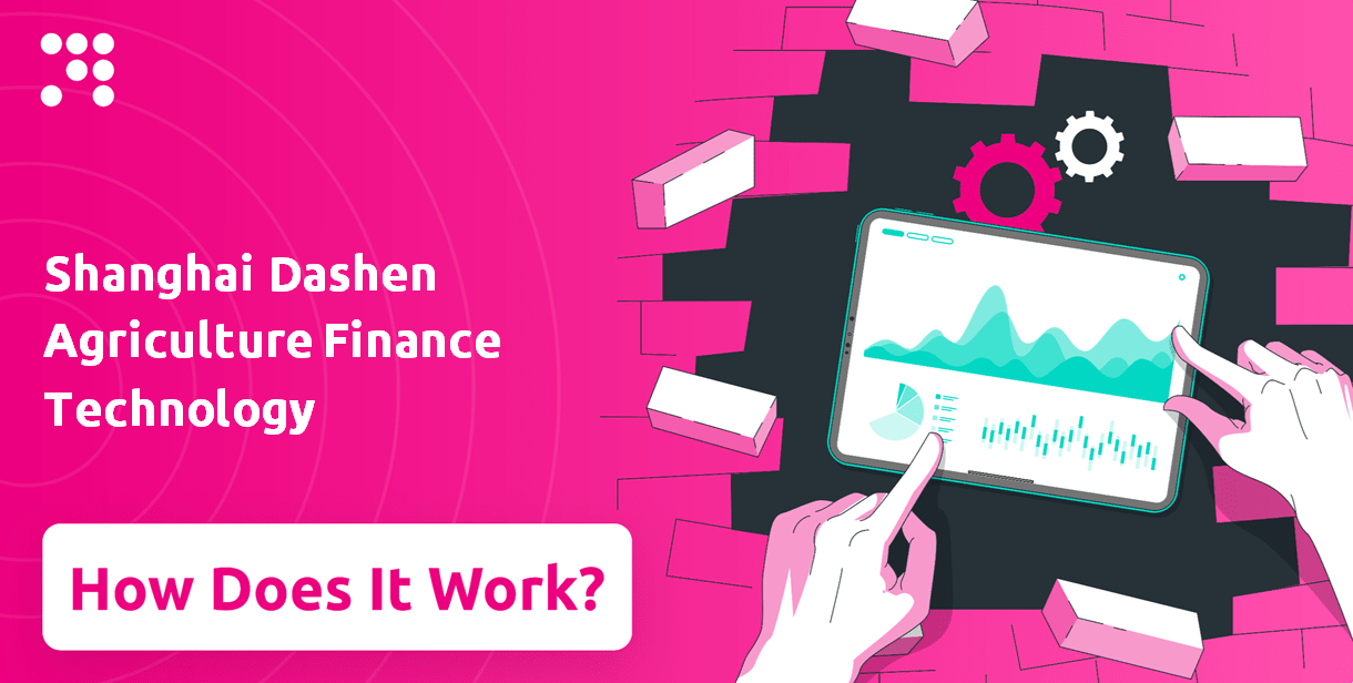 How Does Shanghai Dashen Agriculture Finance Technology Company Work ...
