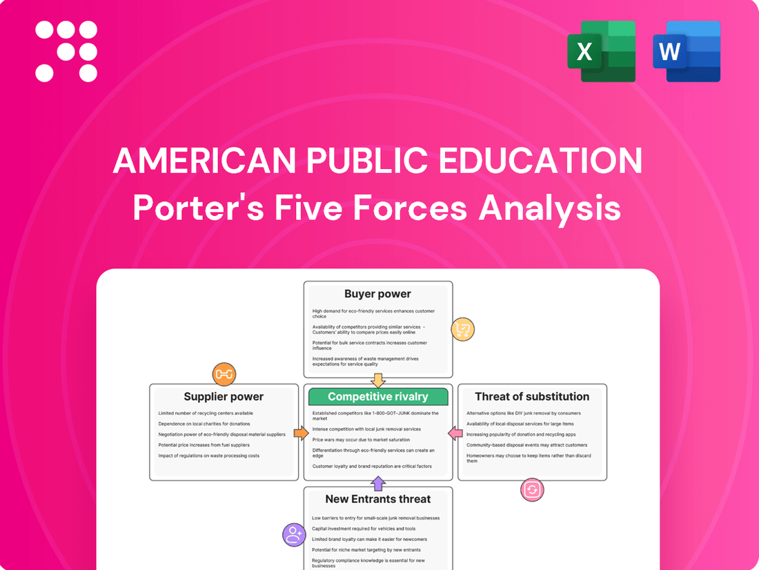 What are the Porter's Five Forces of American Public Education?